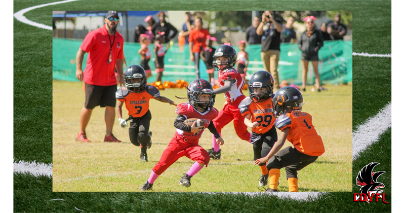 COYFL Falcons > Home