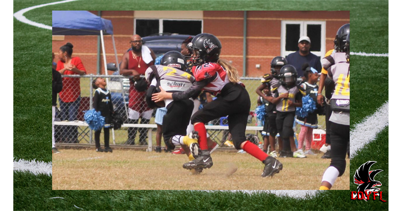 COYFL Falcons > Home