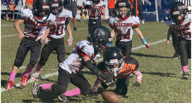 COYFL Falcons > Home